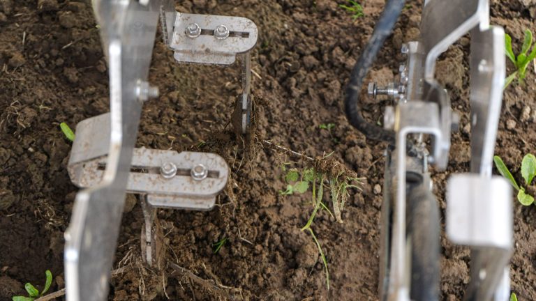 Autonomous Weeding Robot | Efficient Mechanical Weeding System for Farms