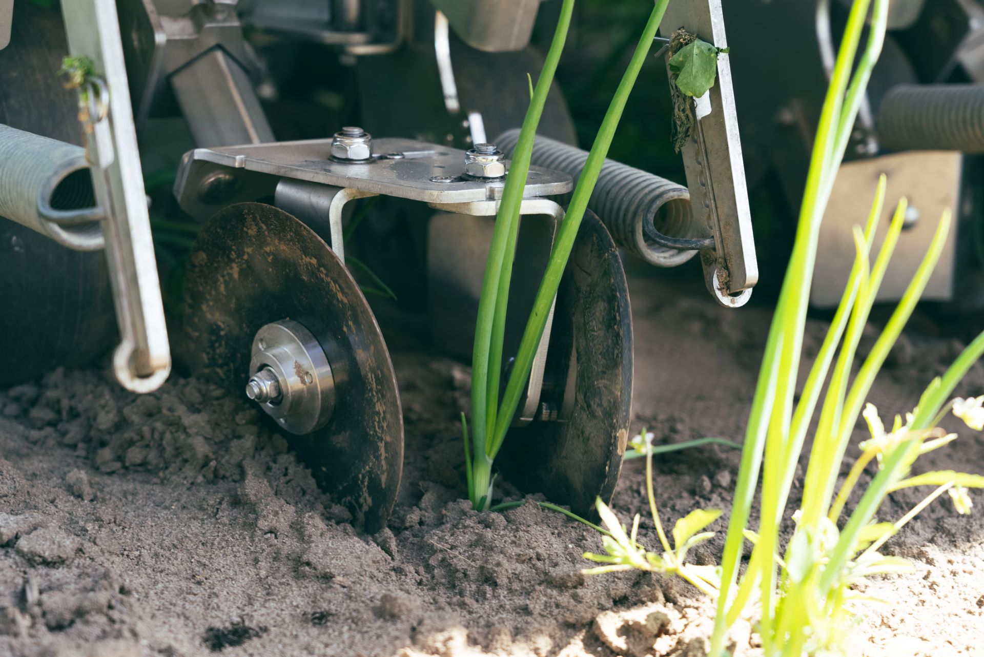 Introducing Weed Cutting Discs - FarmDroid